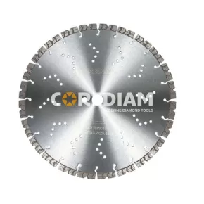 Circular Saw With Protective Segment